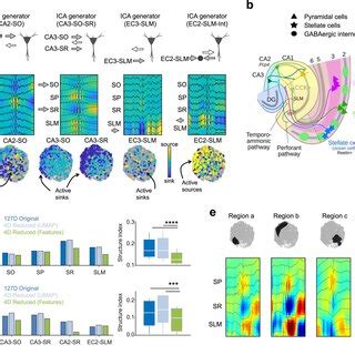 Input Pathway Generators A Independent Component Analysis ICA Of