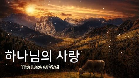 하나님의 사랑 마음을 편안하게 해주는 찬양 모음 베스트 찬송모음 Best Hymns Youtube