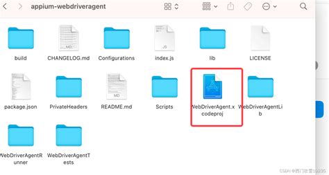 【appium】ios自动化appium1x迁移到appium2xcould Not Load A Driver For