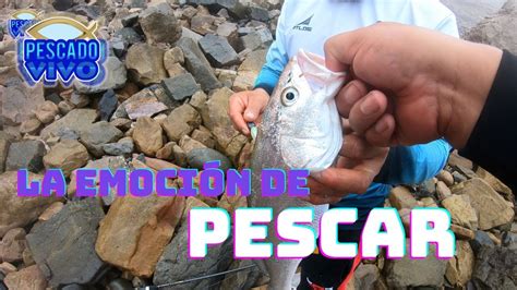 Pesca De Corvinas En Acantilado Youtube