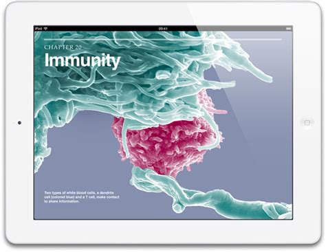 Comparativa IPad Mini Vs Nuevo IPad Con Pantalla Retina