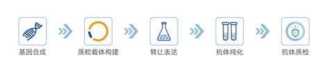 Gerealtech 抗体定制 抗体工程 组学服务