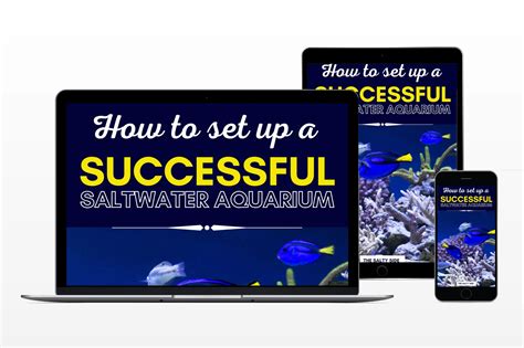 How To Control Nitrates In A Saltwater Aquarium The Salty Side