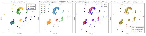 Umap Representation Of Entities From Task 1 Used As Input To Probing Download Scientific