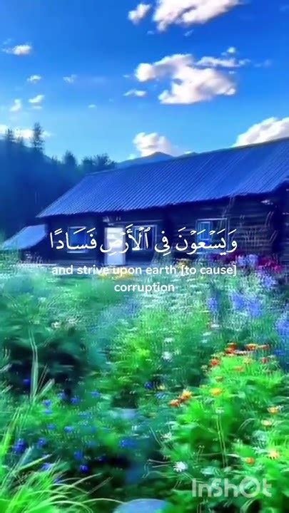 إنما جزاء الذين يحاربون الله وسوله ويسعون في الارض فسادا Youtube