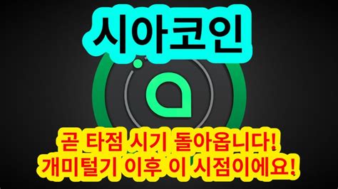 시아코인전망시아코인분석시아코인목표가 곧 타점 시기 돌아옵니다 개미털기 이후 이 시점이에요 Youtube
