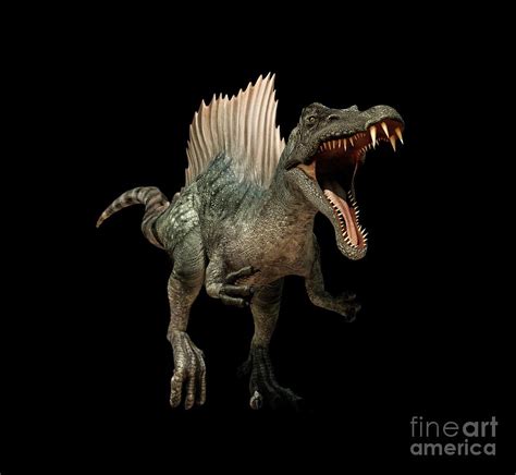 Spinosaurus Dinosaur Photograph By Mikkel Juul Jensen Science Photo
