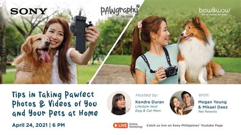 Pawgraphy Talk Tips On Taking Pawfect Photos And Videos Of Your And