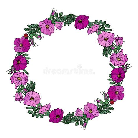 Rond Kader Met Wilde Rozen De Groetkaart Van De Zomerbloemen Of
