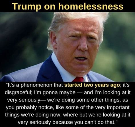 Idiocracy Update July 2024 Hubpages
