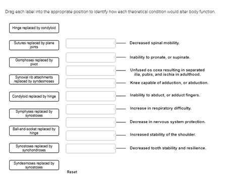 Solved Drag Each Label Into The Approprlate Posltion To Chegg