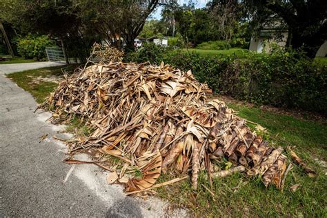 Marion Curbside Yard Waste Collection Begins April 15