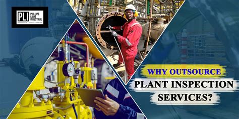 Plant Inspection Services In Cleveland Pli Sorting