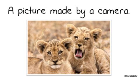 Text Features Flashcards Quizlet