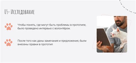 Фонд помощи бездомным животным приют для животных On Behance
