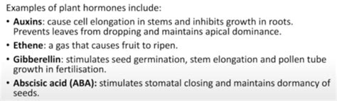 Module 5 Communication Homeostasis And Energy 515 Plant And