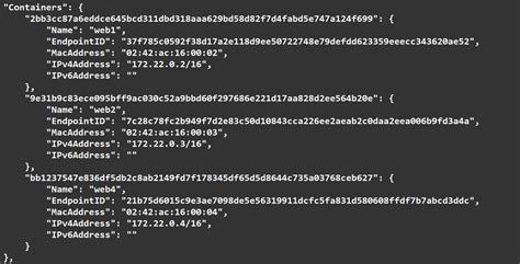 docker compose详解 码客说