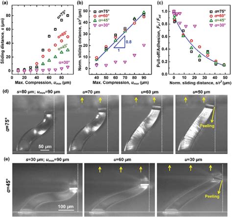 Sliding Retraction And Adhesion Results A Sliding Distance S Versus Download Scientific