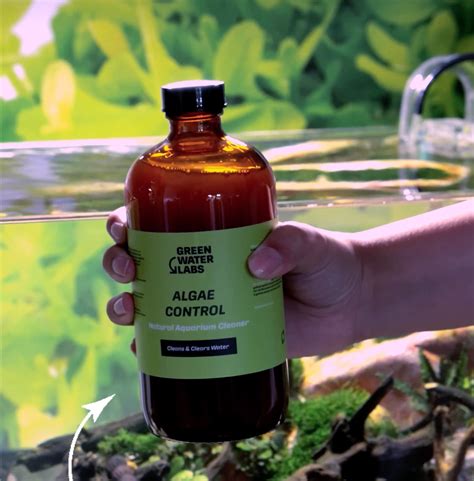 Using Algae Control With Your Unique Set Up Green Water Labs