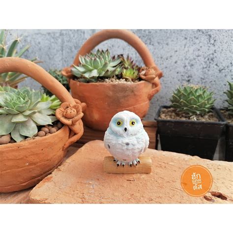 ตุ๊กตานกฮูกเกาะขอนไม้ ขนาด 4 5 X 3 5 X 6 ซม งานตกแต่งสวน ตุ๊กตาจัดสวนถาด สวนบอนไซ พร็อพถ่ายรูป