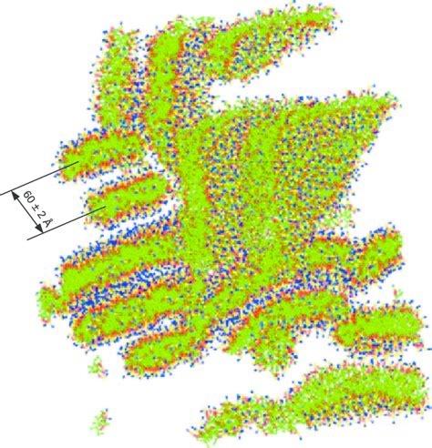Formation Of Multi Lamelar Structures In Langevin Dynamics Simulation Download Scientific