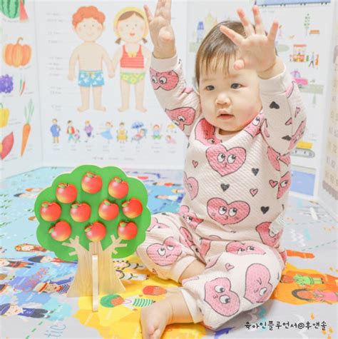 다르담 사과나무 자석 놀이 교구로 아기 소근육 발달 수 세기 네이버 블로그