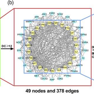 PPI Network Construction And Analysis For The Overlapping Genes AC