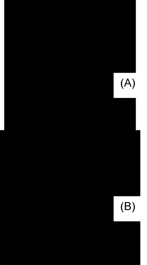 Release Profile Of Metformin Hydrochloride From Microballoons Containing Download Scientific