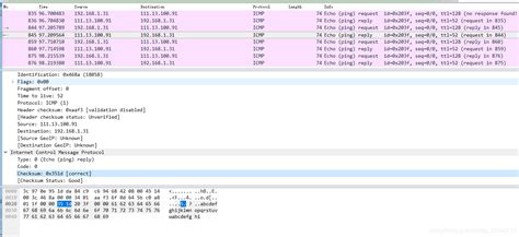 Cc：winsock网络编程—ping命令的简单实现winsock Ping Csdn博客