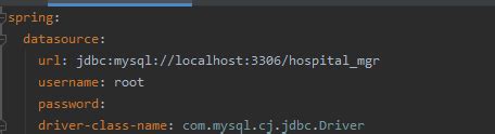 How To Connect Database Issue Hendisantika Spring Boot