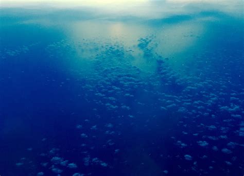 Безплатна снимка море океан хоризонт под вода коралов риф морска