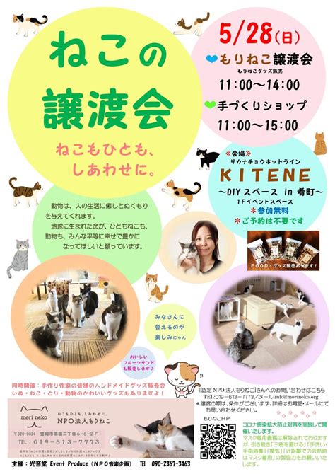 猫の譲渡会開催します！ Kitene