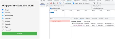 vue js post checkbox data to api