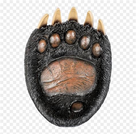 Resin Bear Paw Candy Dish Top View Wood Clipart 2576183 Pikpng