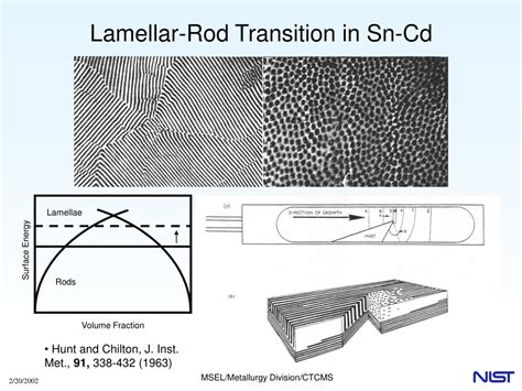 Ppt 3 Dimensional Phase Field Modeling Of Eutectic Solidification