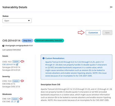 Custom Vulnerability Attributes