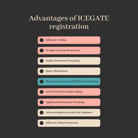 Complete Icegate Registration Process 2025 Ultimate Guide