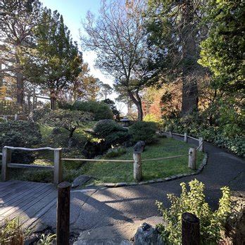 Japanese Tea Garden Updated February 2025 7891 Photos And 1788