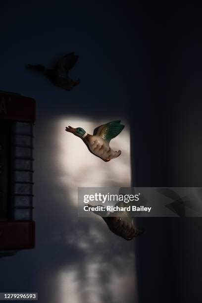Richard Wall House Photos And Premium High Res Pictures Getty Images