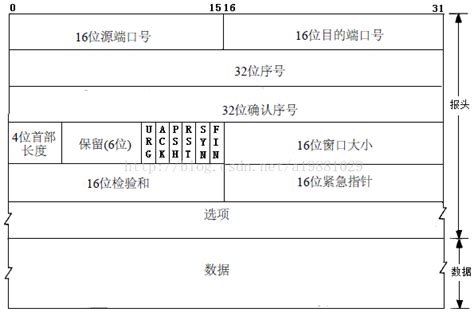 TCP协议报文格式 张晋毅 博客园