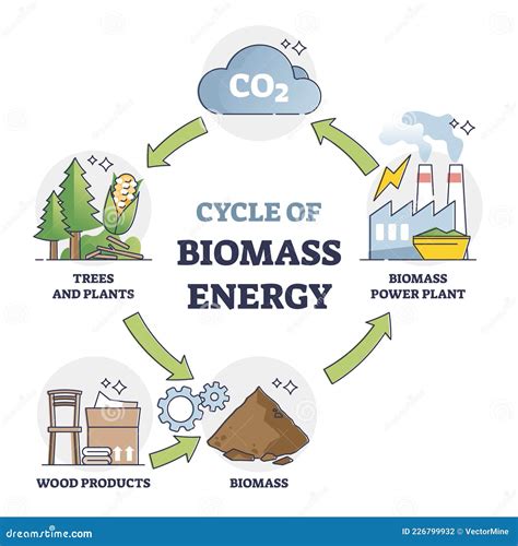 Cycle Of Biomass Energy As Direct Combustion In Power Plant Outline