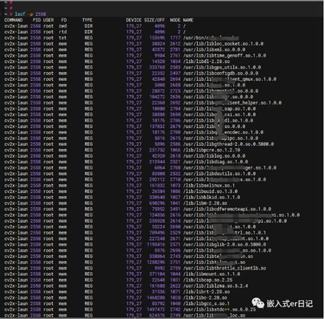 Linux中如何查看文件被哪些进程使用 寻梦99 博客园
