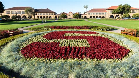 【斯坦福大学 校园之旅8k超清】海外留学经验分享 世界著名大学 留学美国英国 留学机构 留学咨询 留学申请 施特劳斯艺术留学机构国际集团