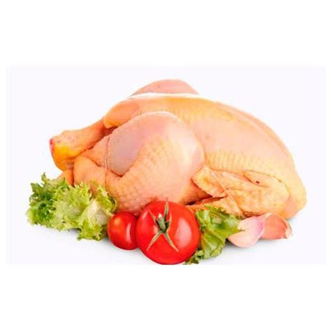 Frango Resfriado Kg Super Primavera