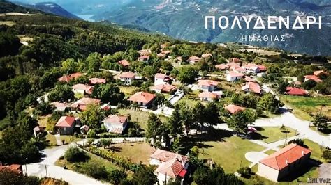 ΠΟΛΥΔΕΝΔΡΙ ΗΜΑΘΙΑΣ ΚΑΘΗΜΕΡΙΝΕΣ ΑΠΟΔΡΑΣΕΙΣ® Youtube
