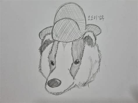 오소리감투