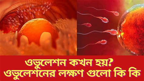 বাচ্চা গর্ভধারণের জন্য মহিলাদের ওভুলেশন কখন হয় ওভুলেশনের লক্ষণ গুলো
