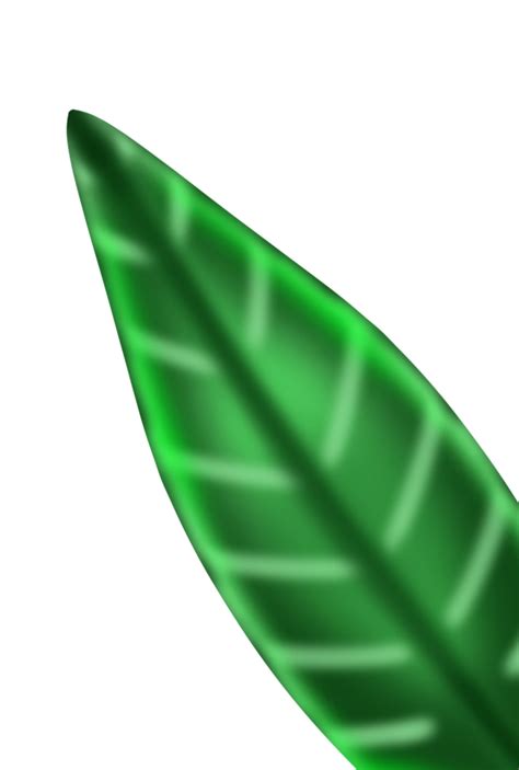 Decorative Aesthetic Leaf Ornament Element 16581253 Png