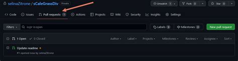 2 Github Workflow Selinazitronegithubworkflow Github Wiki