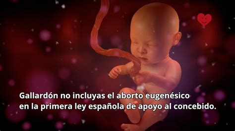 Gallardón No Incluyas El Aborto Eugenésico Youtube